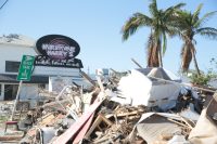 Home - Risk and Resilience Hub